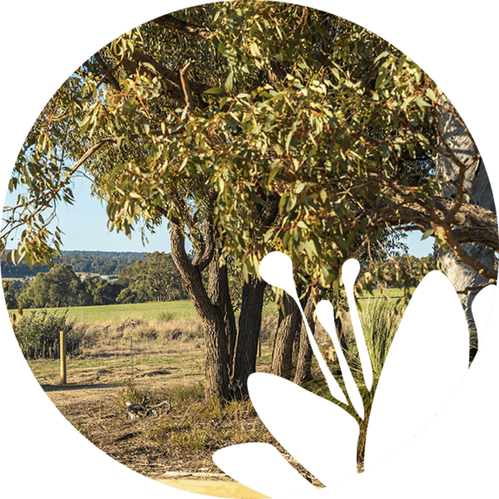 Environment – Wildflower Ridge Estate
