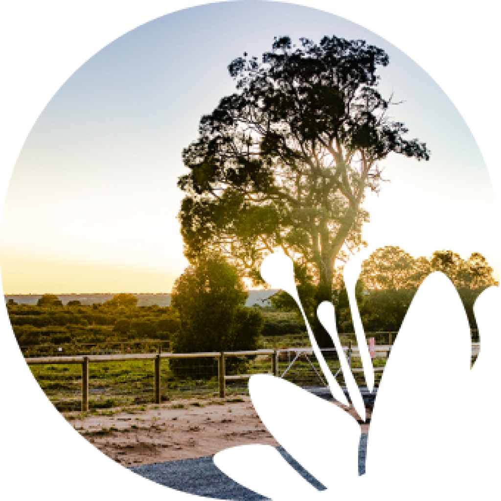 Land for Sale – Wildflower Ridge Estate